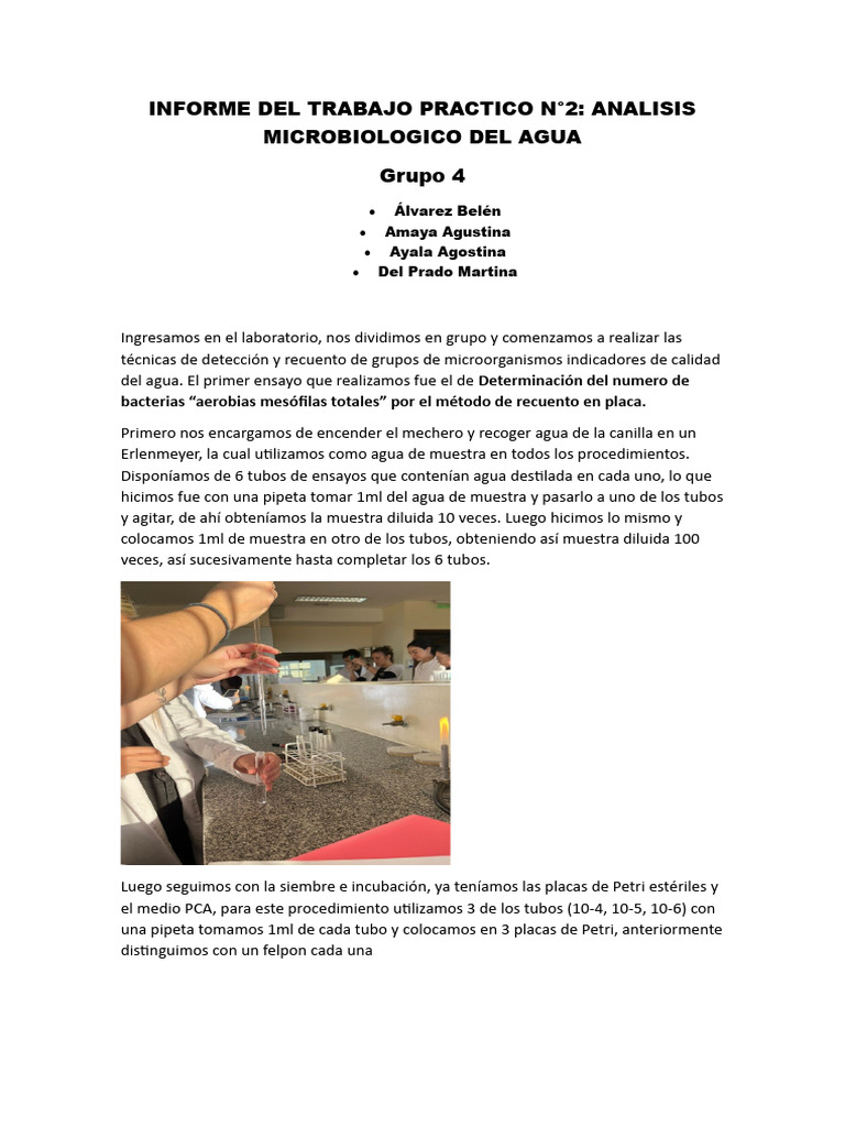 Informe Lab. tp2. Grupo 4 - Saneamiento | PDF | Microbiología