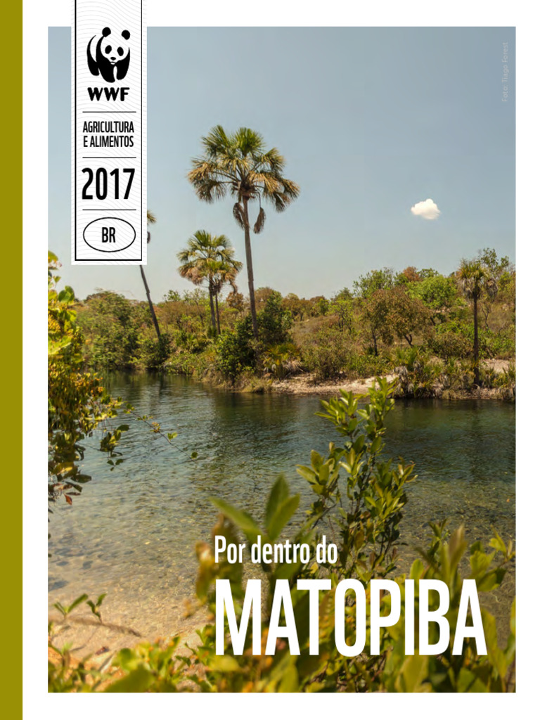 Desmatamento e Agricultura no Matopiba | PDF | Agricultura | Desmatamento