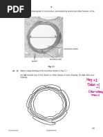 IGCSE EVM 0680 Detailed Notes | PDF | Rock (Geology) | Flood