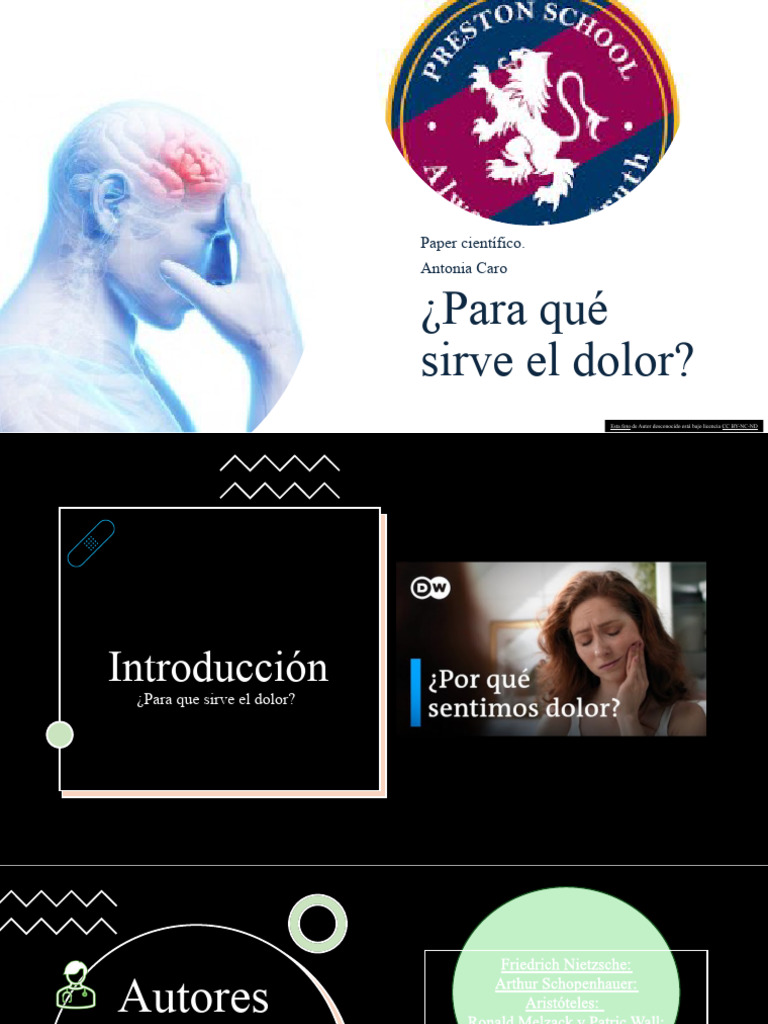 Para Qué Sirve El Dolor | PDF