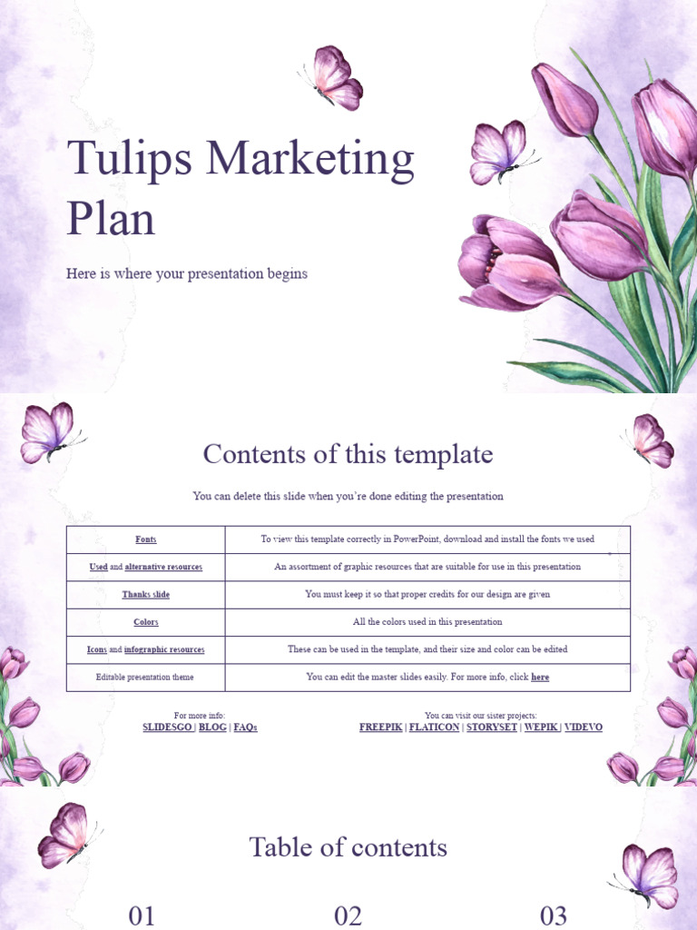 Tulips Marketing Plan by Slidesgo | PDF | Innovation | Market (Economics)