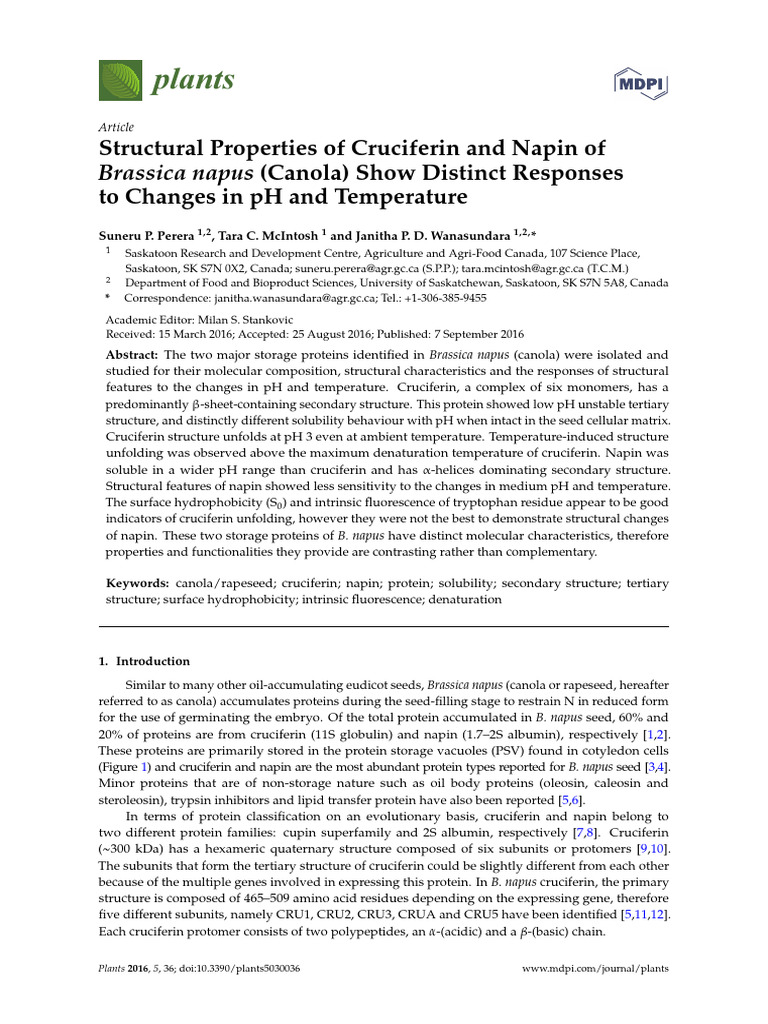 Cruciferin and Napin in Canola Protein | PDF | Biology | Chemistry
