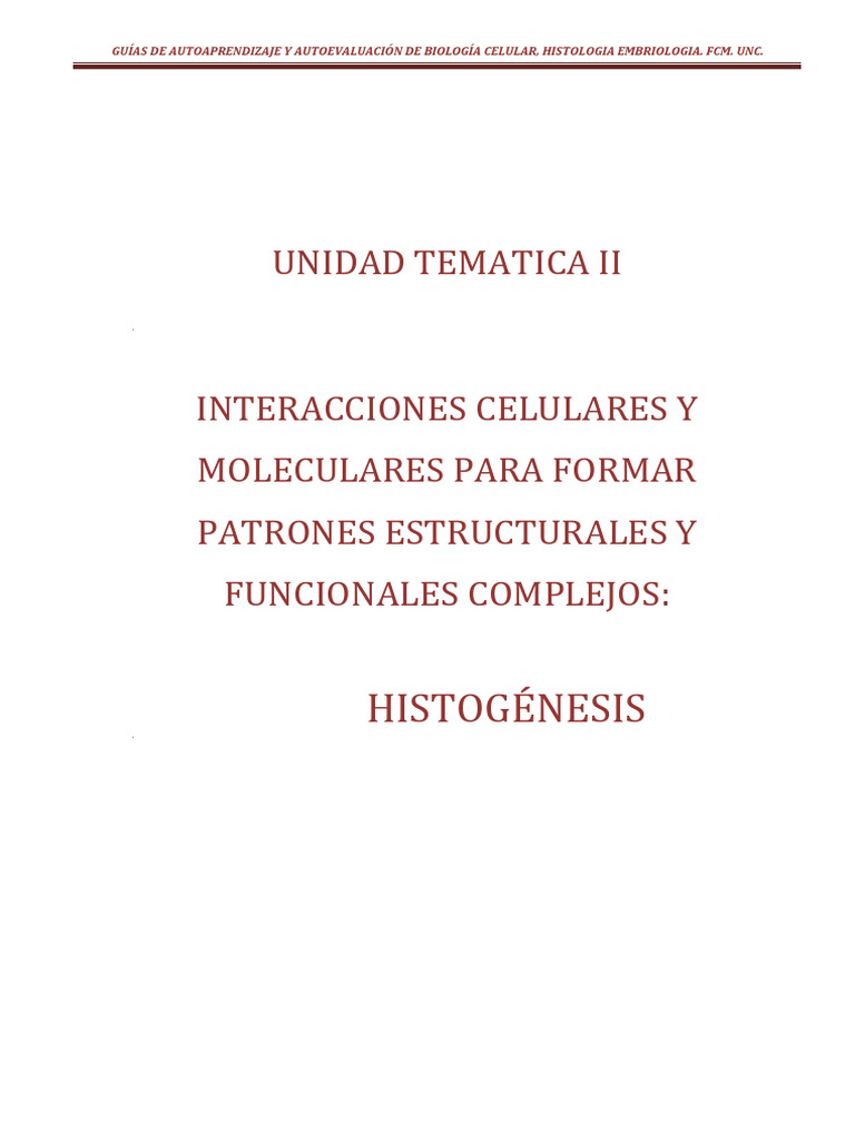 Guia de Autoaprendizaje 2023 TP4 Tejido Epitelial | PDF | Epitelio | Histología