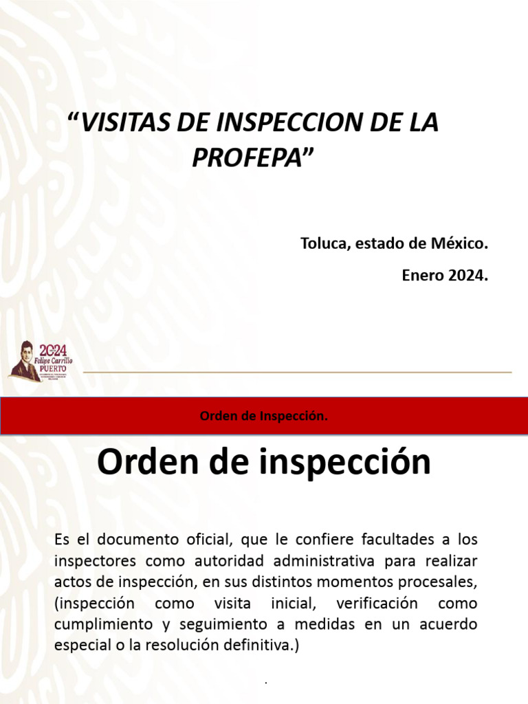 Profepa 1 Visitas de Inspeccion 2024 | Descargar gratis PDF | Justicia ...