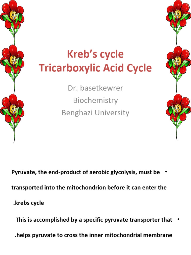 Kreb cycle (2) - ١٢٤٠٢٠ | PDF | Diet & Nutrition | Chemistry