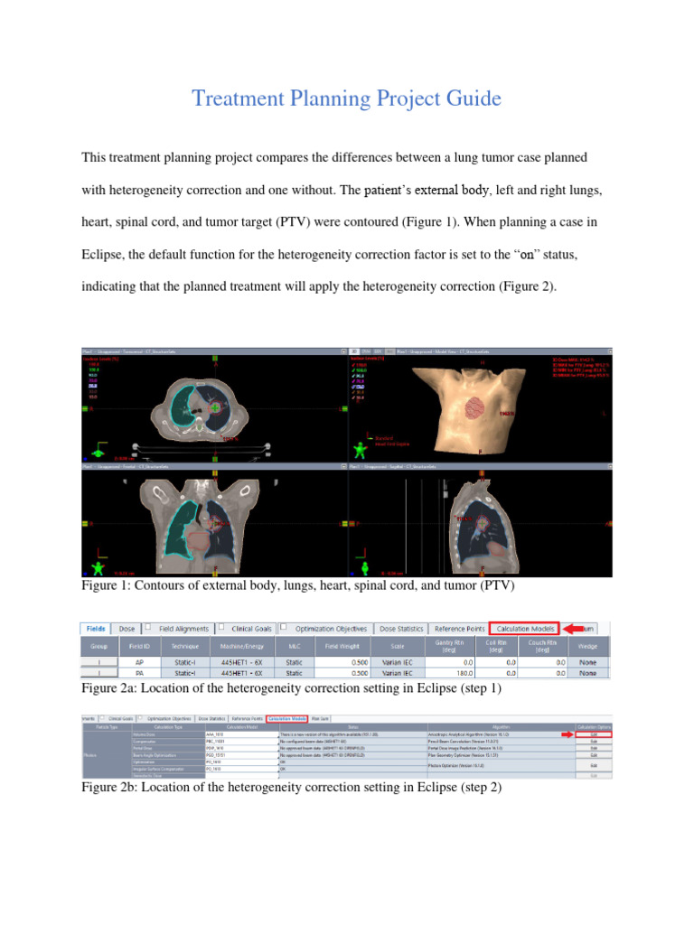 Lung Tumor Treatment Planning Comparison | PDF | Absorbed Dose ...