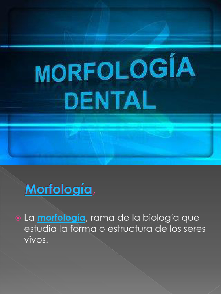 1 Diente | PDF | Diente | Boca