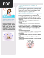 3ro Criterios de Evaluación | PDF | Higiene