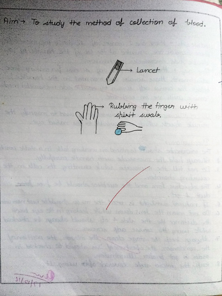 Physio Practical | PDF