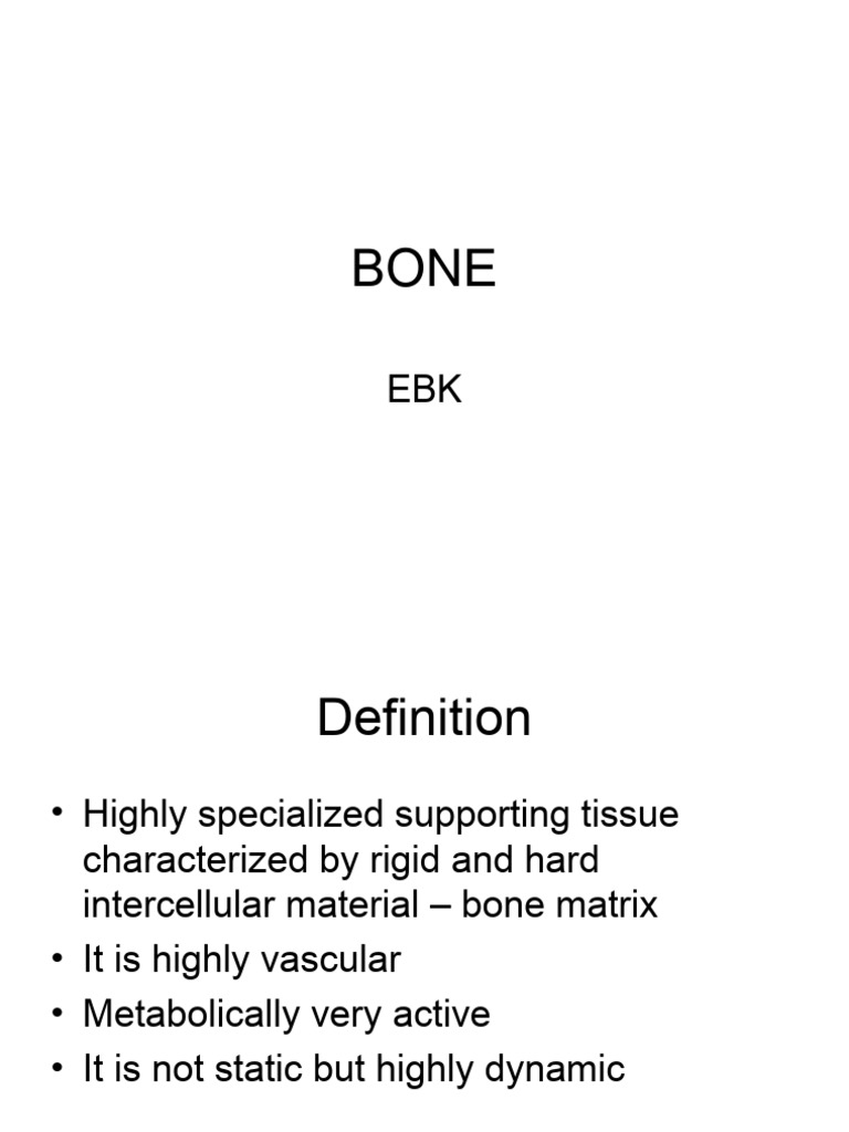 Bone Tissue | PDF | Bone | Osteoblast
