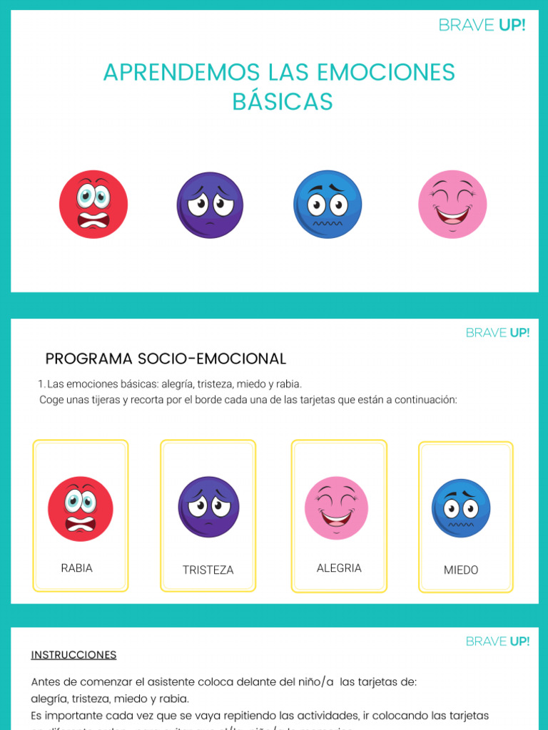 Dinámica Emociones | PDF