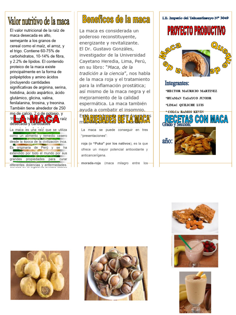 Triptico Maca | PDF