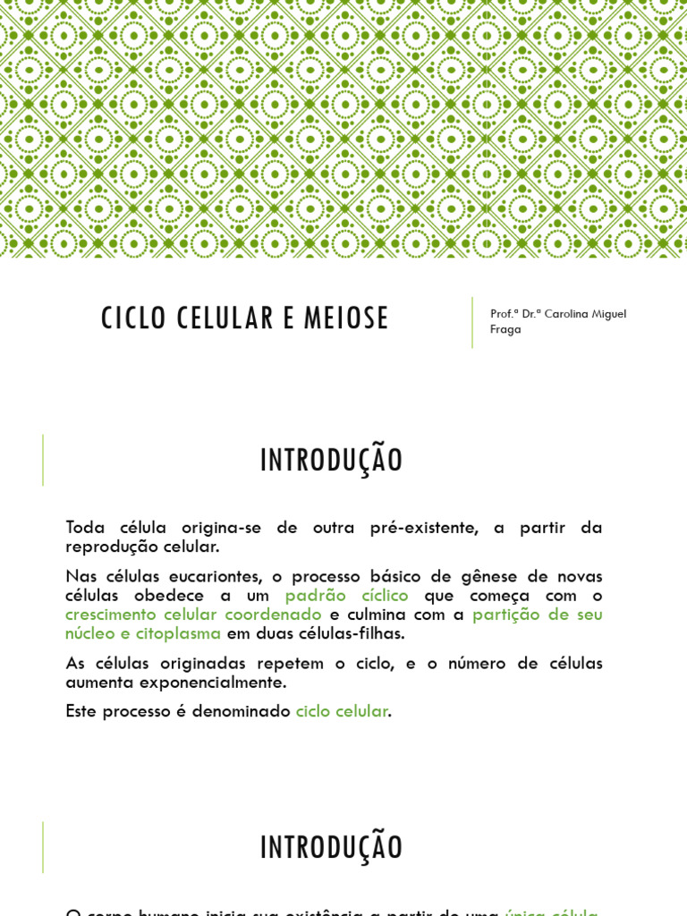 2_Ciclo Celular e Meiose | PDF | Meiose | Mitose