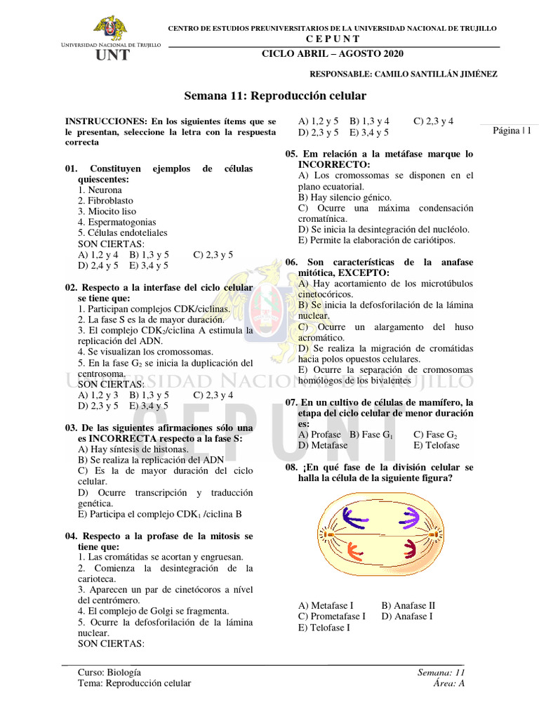 Cepunt TRANSFERENCIA 11 1A 3A 2020 Camilo | PDF | Mitosis | Mitosis