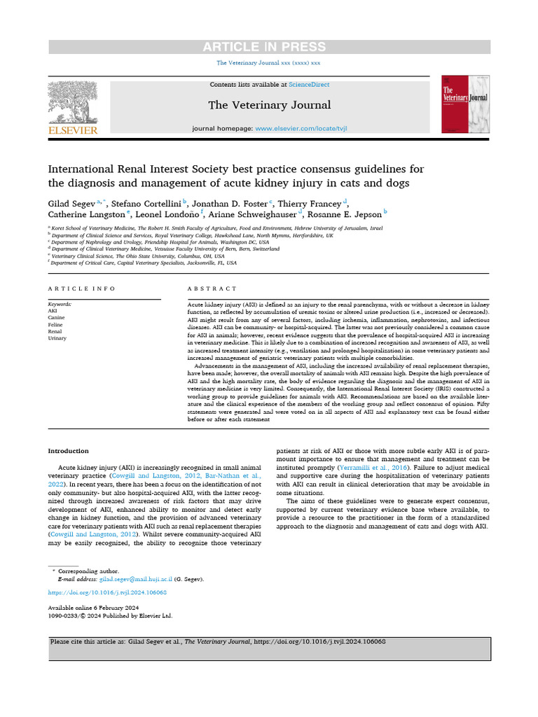 Consenso Iris Aki | PDF | Dehydration | Kidney