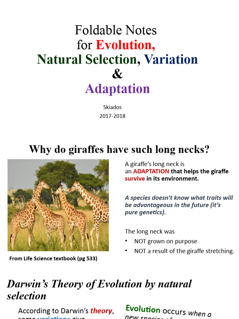 Foldable For Evolution 2c Natural Selection 2c Adaptation and Variation ...
