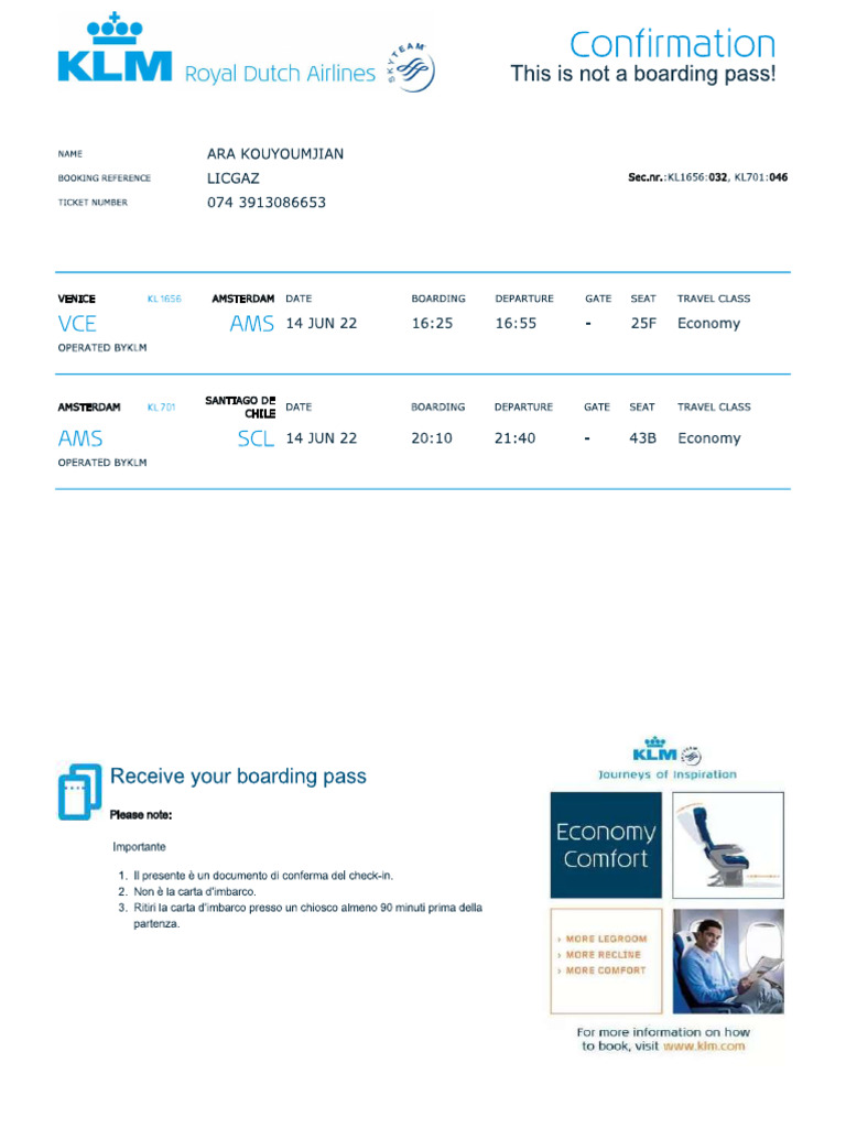 KLM-Check in | PDF