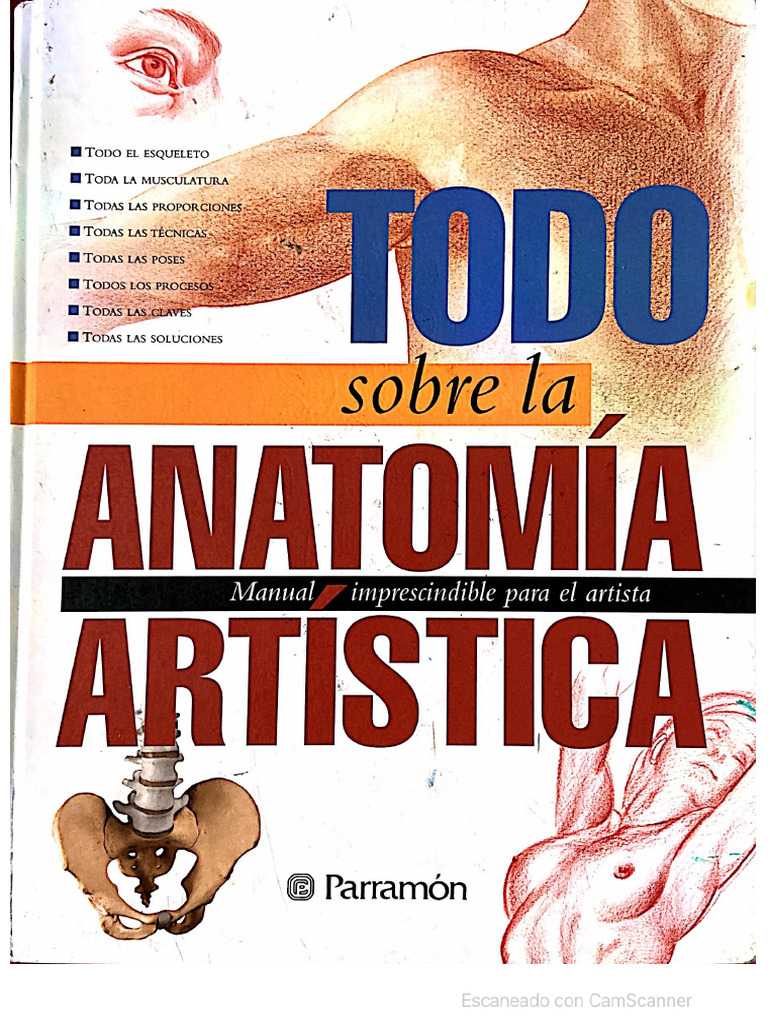 Todo Sobre Anatomía Artista Pdf