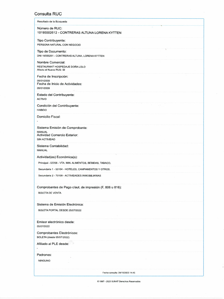 FICHA RUC CONCESIONARIA | PDF
