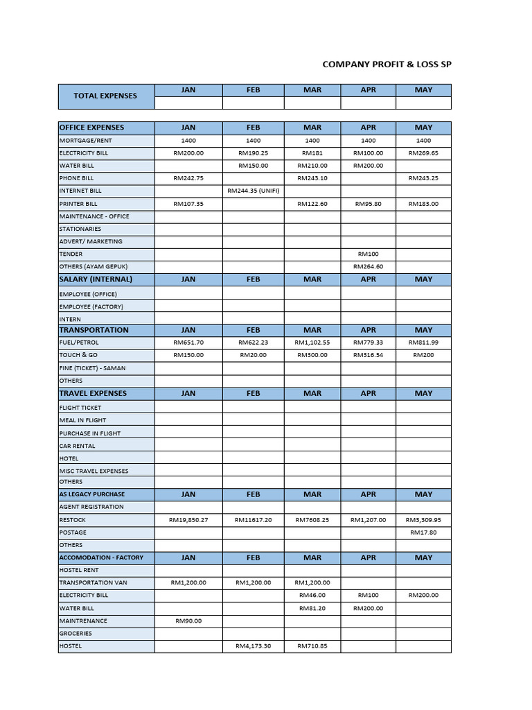 Company P&L | PDF | Vehicles | Transport