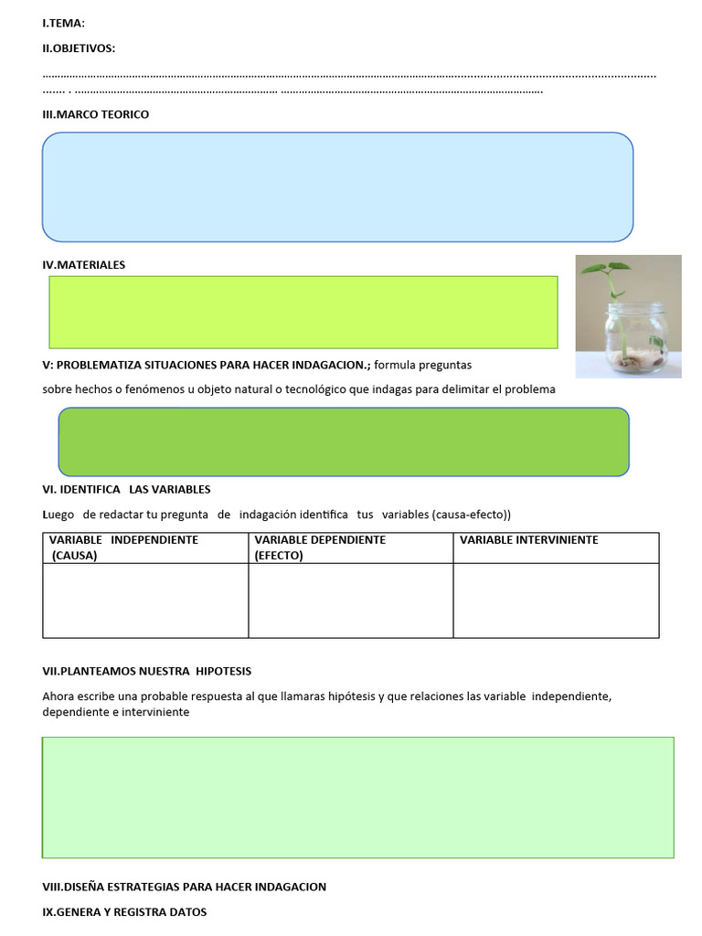 Plan de Indagacion Sobre El Frij | PDF