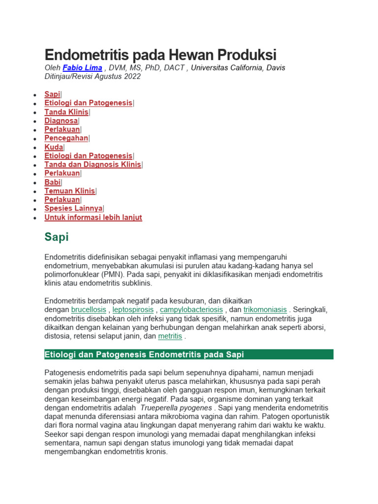 Endometritis pada Hewan Produksi: Panduan Lengkap | PDF