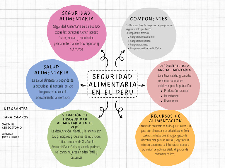 Mapa Conceptual de La Seguridad Alimentaria | PDF | Seguridad alimentaria | Nutrición