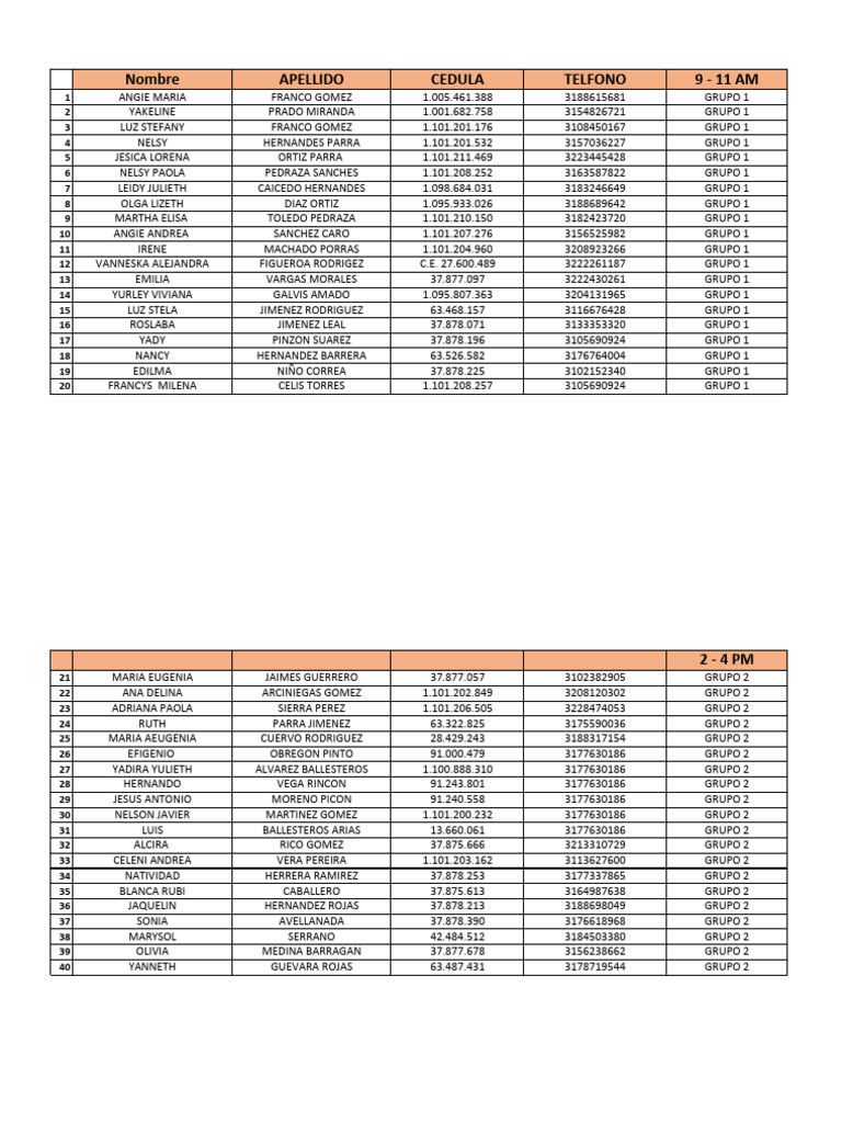 BMP - Ing. Luis | PDF