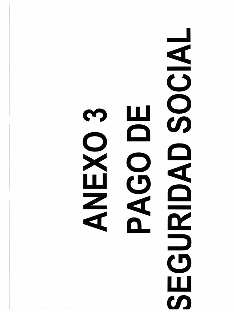 Anexo 3 | PDF