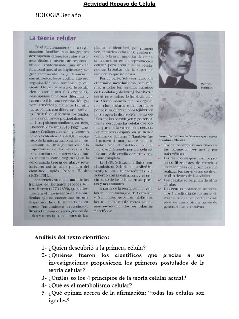 Actividad Repaso de Célula | PDF