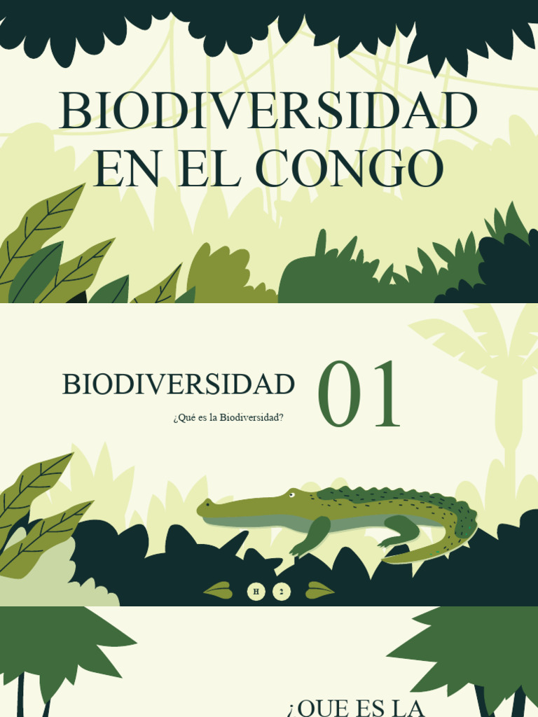 Biodiversidad en El Congo | PDF | República Democrática del Congo