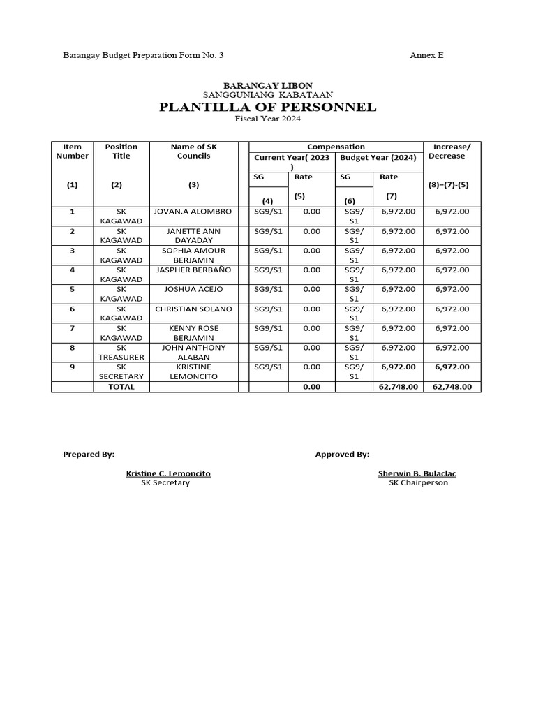 Barangay Budget Preparation Form No.3 | PDF | Youth Organizations