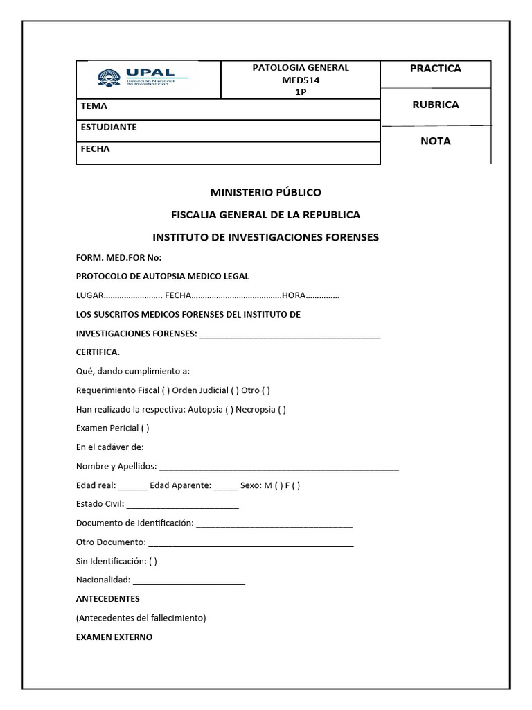 Autopsia Medico | PDF | Abdomen | Anatomía humana