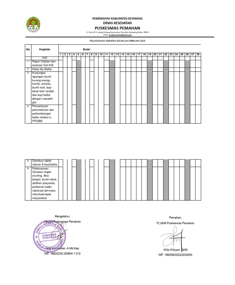 RPK Bulanan Stunting | PDF