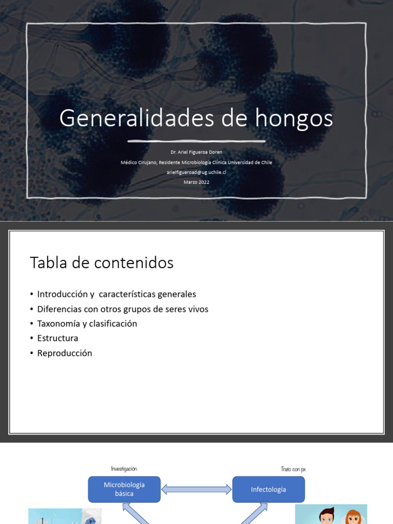 Generalidades de Hongos | PDF | Hongo | Eucariotas