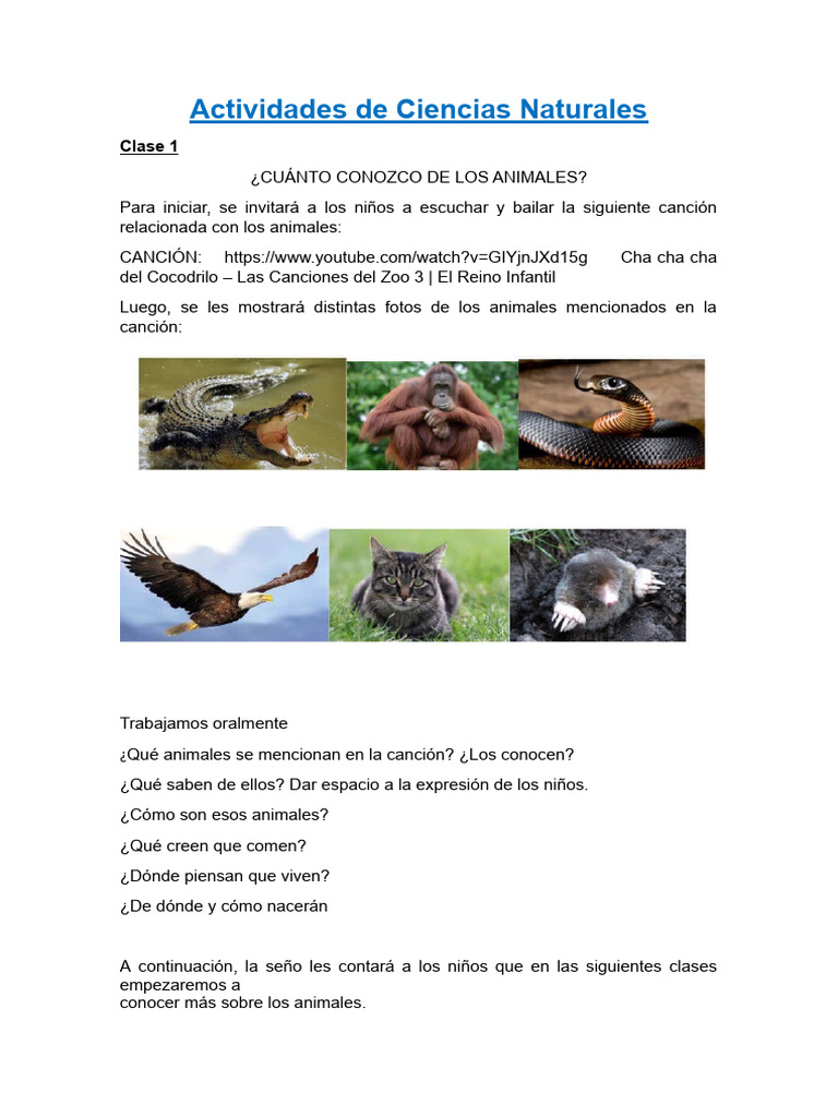 Ciencias Naturales Los Animales | PDF