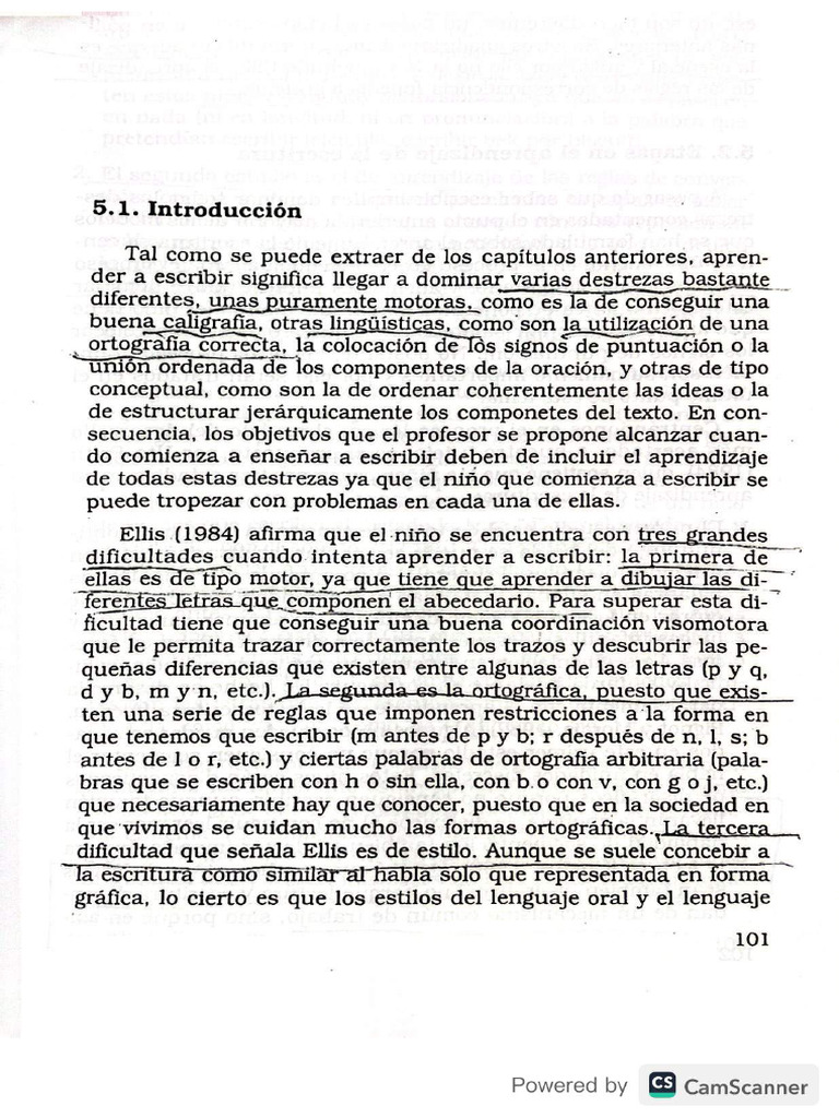 Cap 5 de Escritura - Dificultades para Ap-Comprimido | PDF