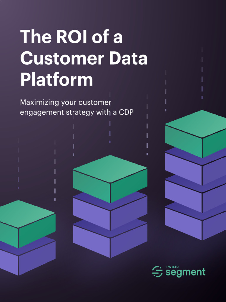 Maximizing ROI with Customer Data Platforms | PDF | Customer Experience | Return On Investment