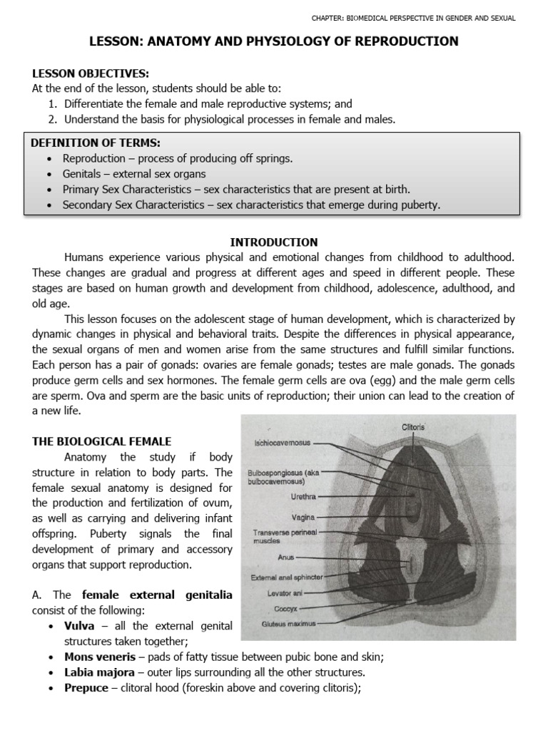 Gned 10 - Biomedical Perspective of Gender and Sexuality | PDF ...