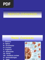 Tipos de Escotoma | PDF | Sistema visual | Enxaqueca