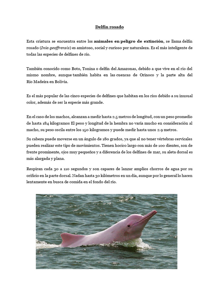 Delfín Rosado | PDF