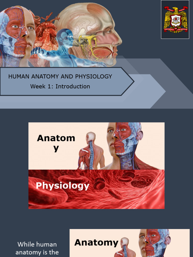 WEEK 1 - Anatomy and Physiology Introduction | PDF | Homeostasis | Anatomy