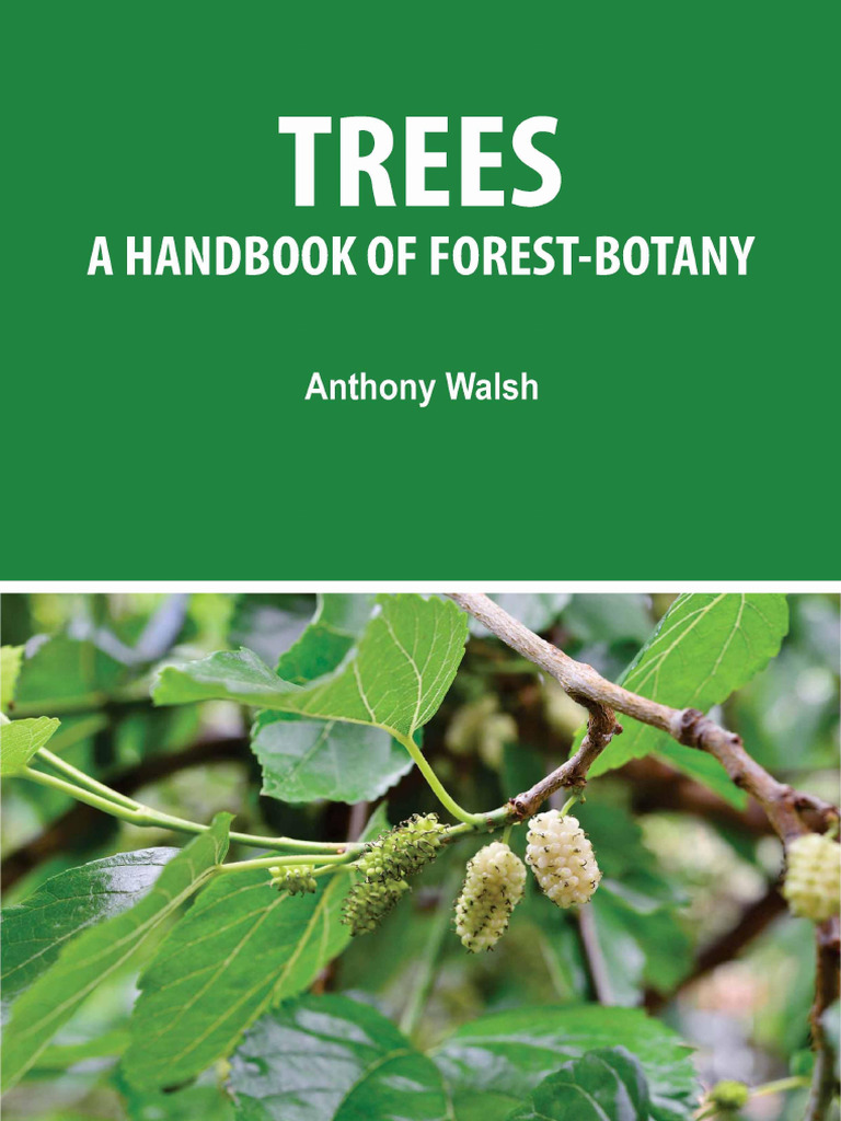 Trees A Handbook of Forest Botany | PDF | Forests | Trees