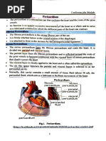Anatomy Heart Cadaver | PDF | Heart Valve | Coronary Circulation