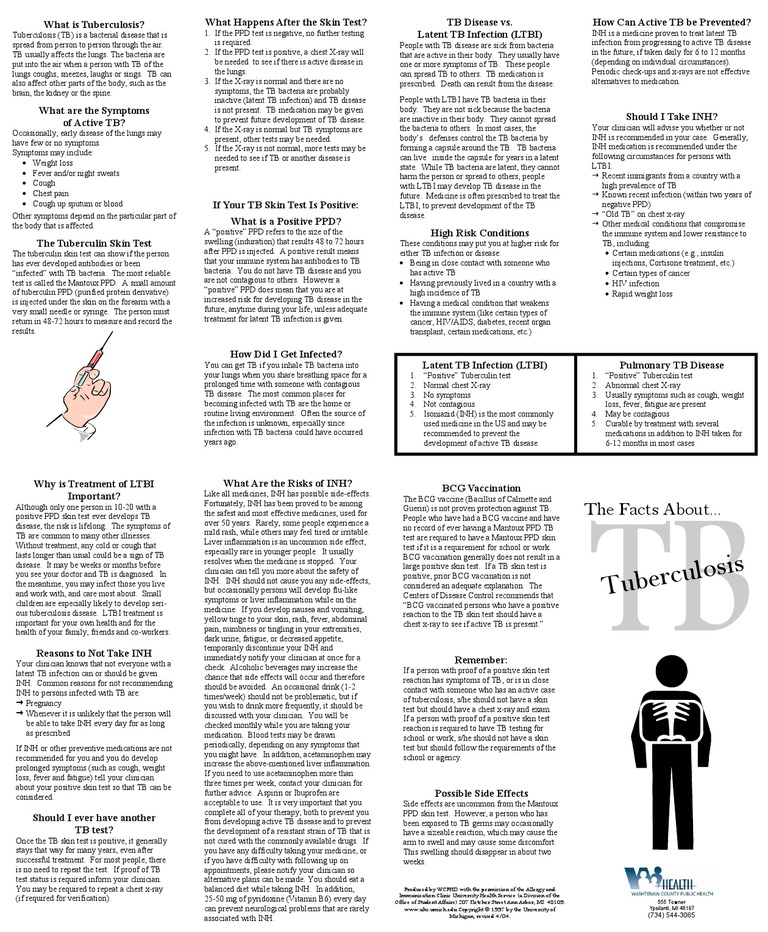 TB Pamphlet | PDF | Tuberculosis | Infection