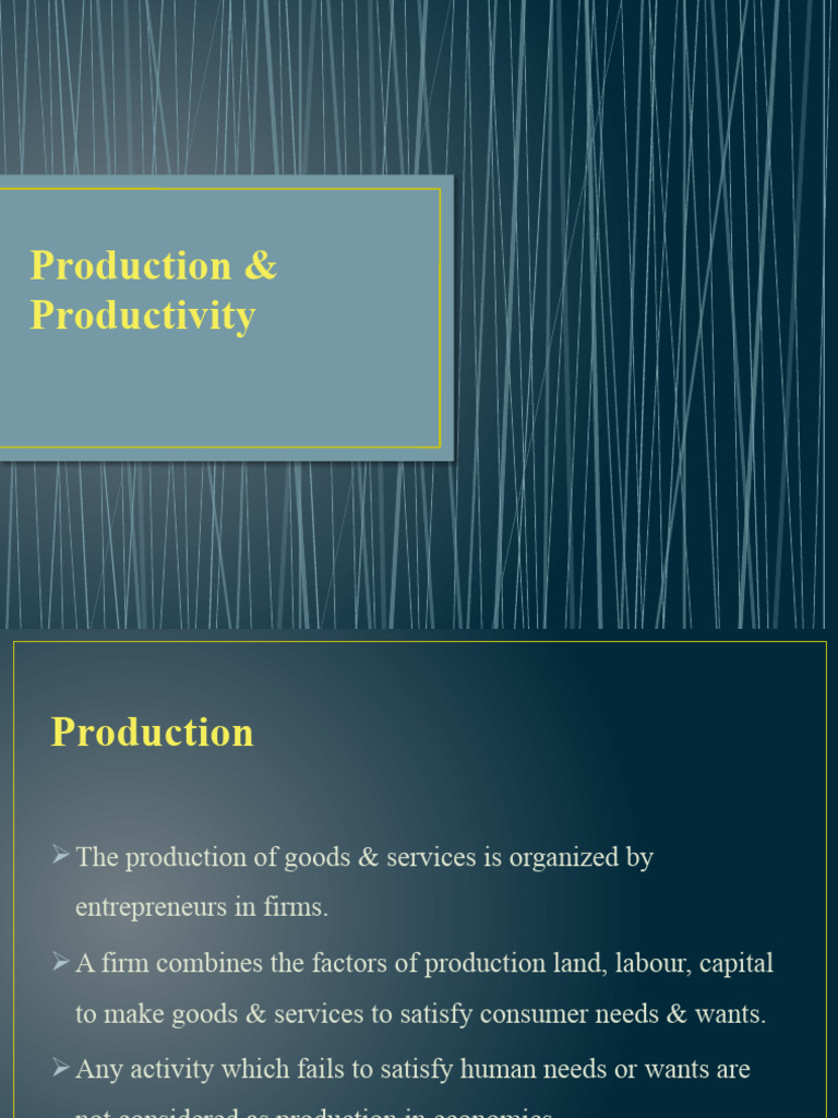 Production and Productivity | PDF