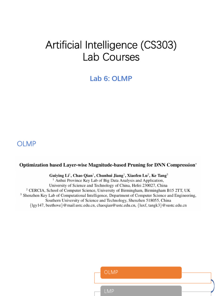 OLMP Lab6 | PDF | Neuron | Synapse