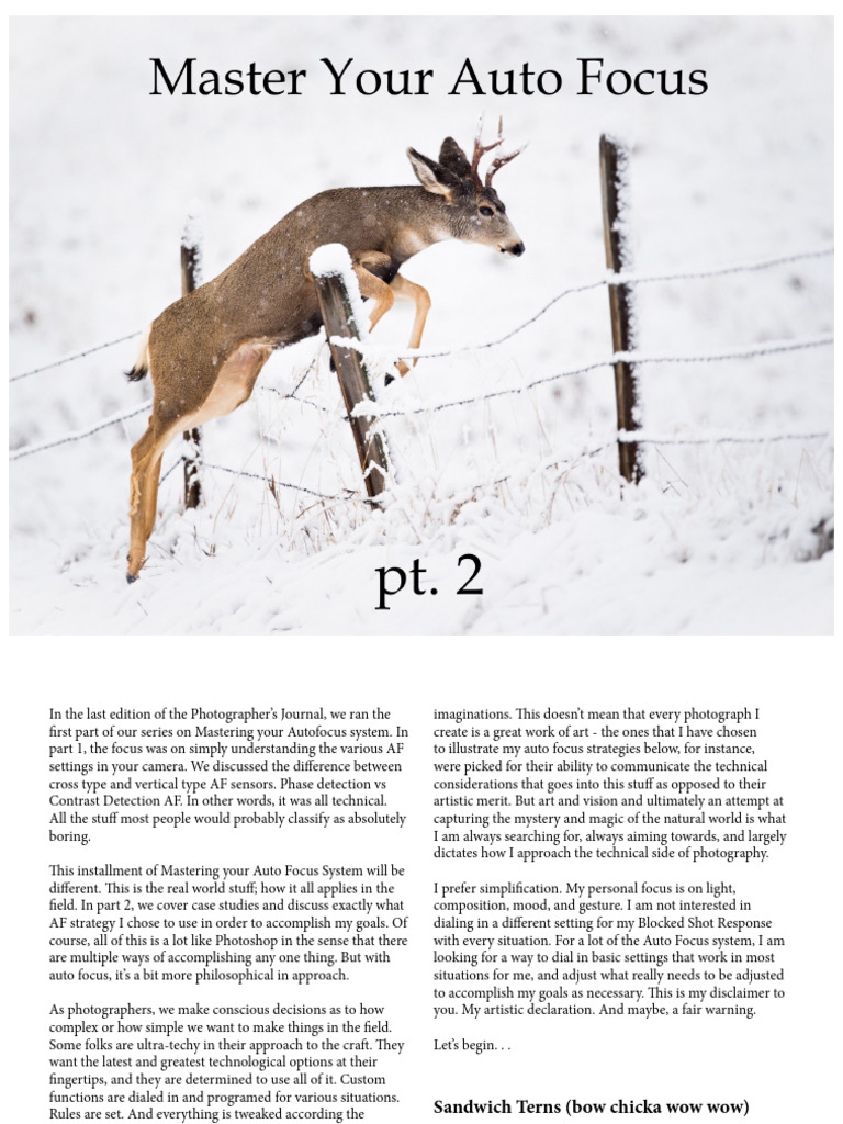 Auto Focus 2 | PDF | Autofocus | Digital Camera Modes