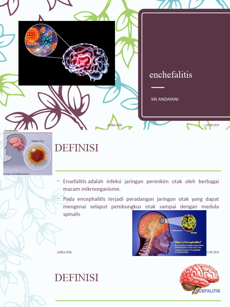 Panduan Lengkap tentang Ensefalitis | PDF