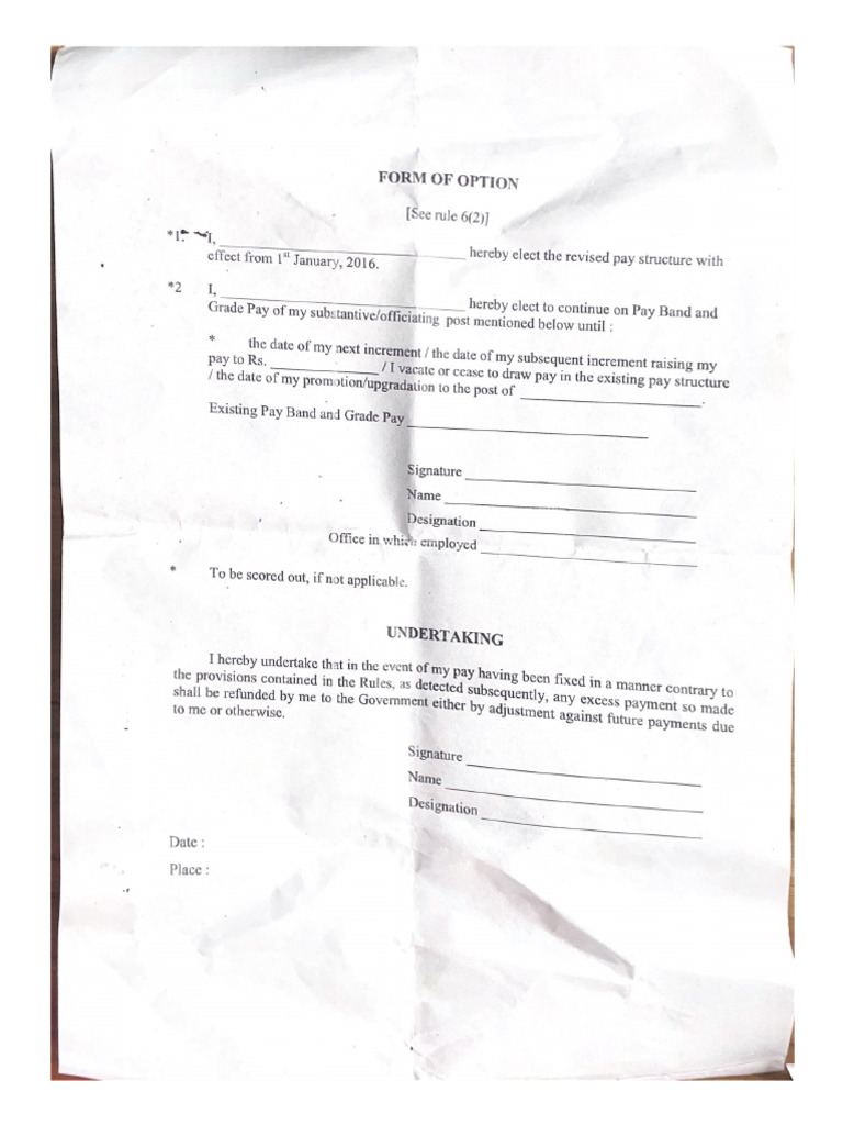 FORM OF OPTION | PDF